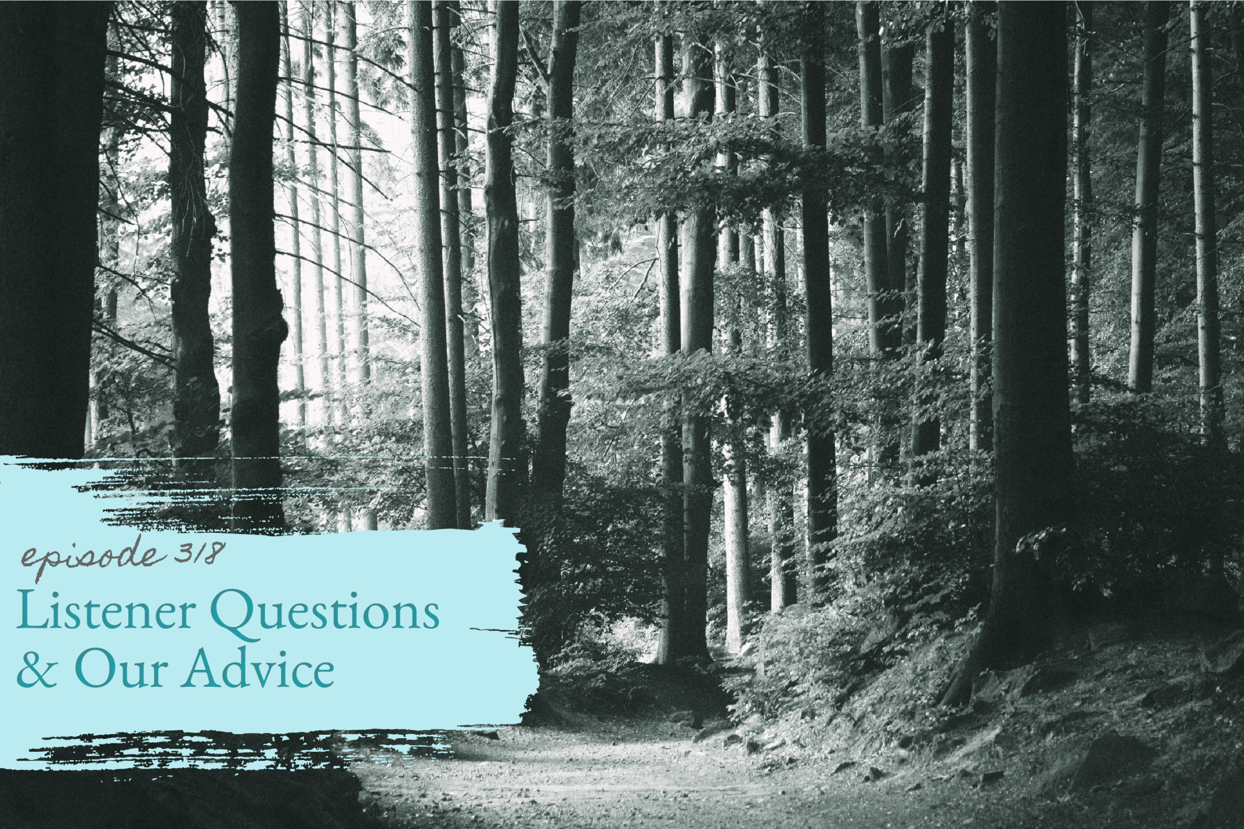 Listener Questions Vol 33 Episode 318